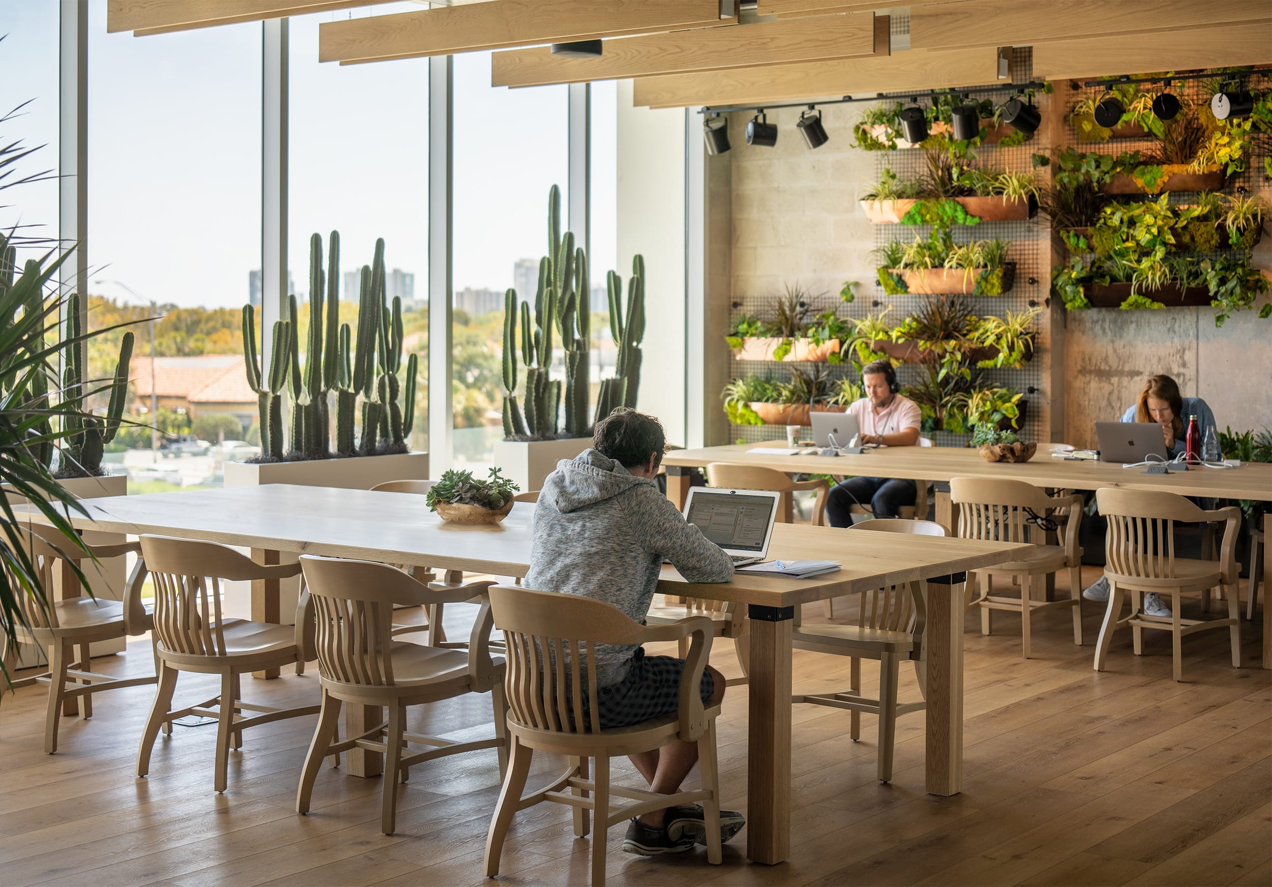 Green Rooms: The Growth of Biophilic Design Through Architectural ...